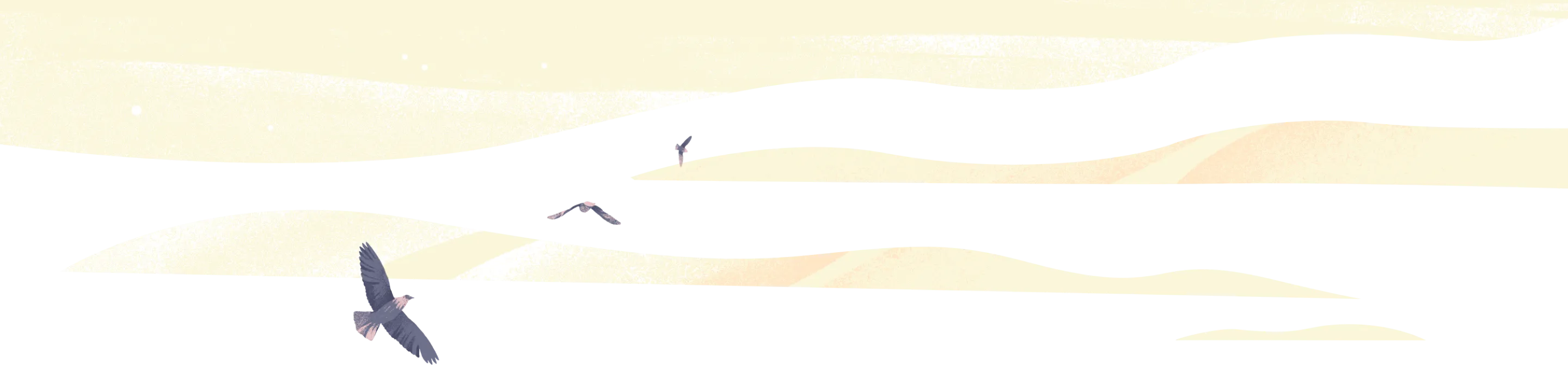 How Long Does It Take To Get Ashes Back After Cremation? | After®.com Blog